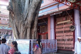 Swami Samarth Photos (Swami's Original photos from 1860s)